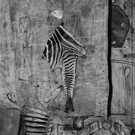 Roger Ballen Shadow Chamber